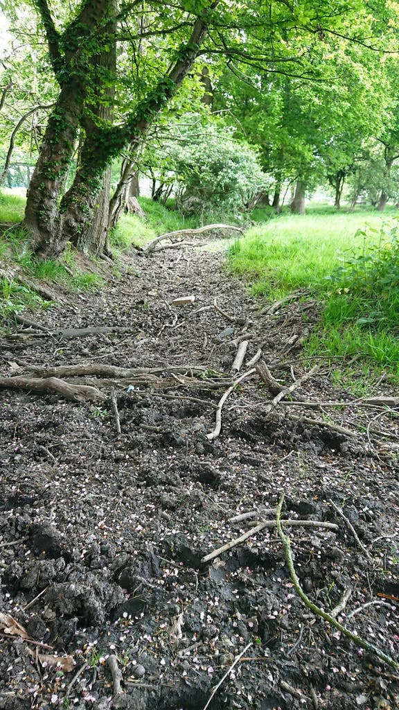 Dry Country Stream stock photo. Image of drout, resources - 220417328