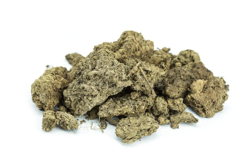 Dry cow manure stock photo. Image of outside, cattle - 49857000