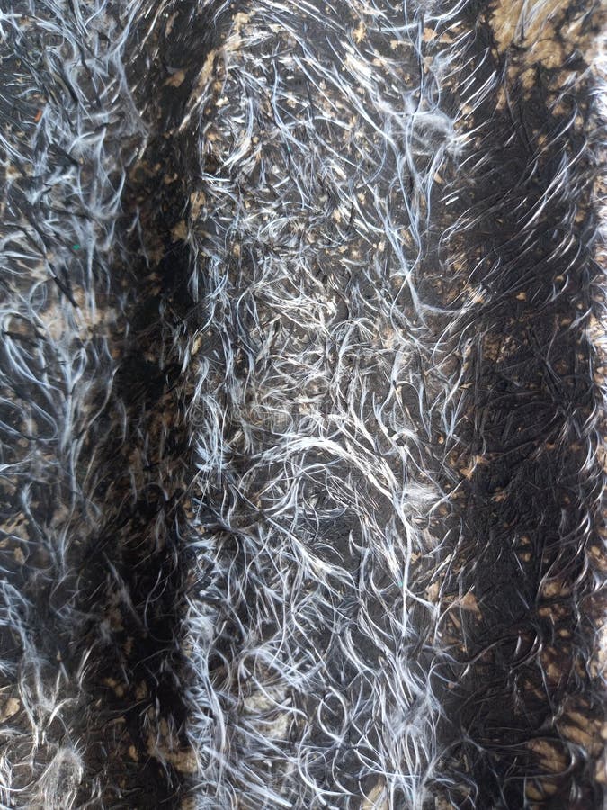 Dry Cowhide stock photo. Image of texture, abstract - 246137232