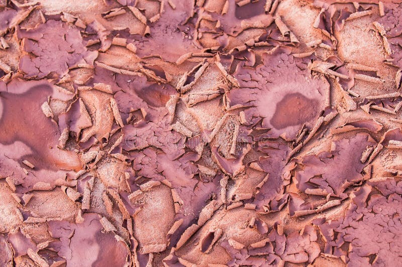 Dry Cracked Bottom of a Lake Textured Background Stock Photo - Image of ...