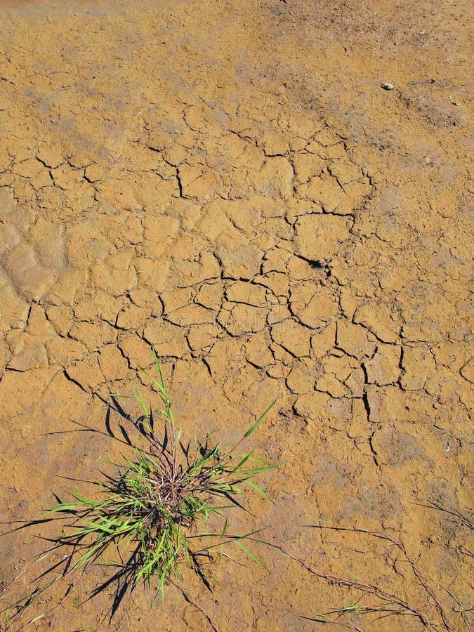 Dry Cracked Clay of Wheat Field. Dusty Cracked Ground Stock Image ...