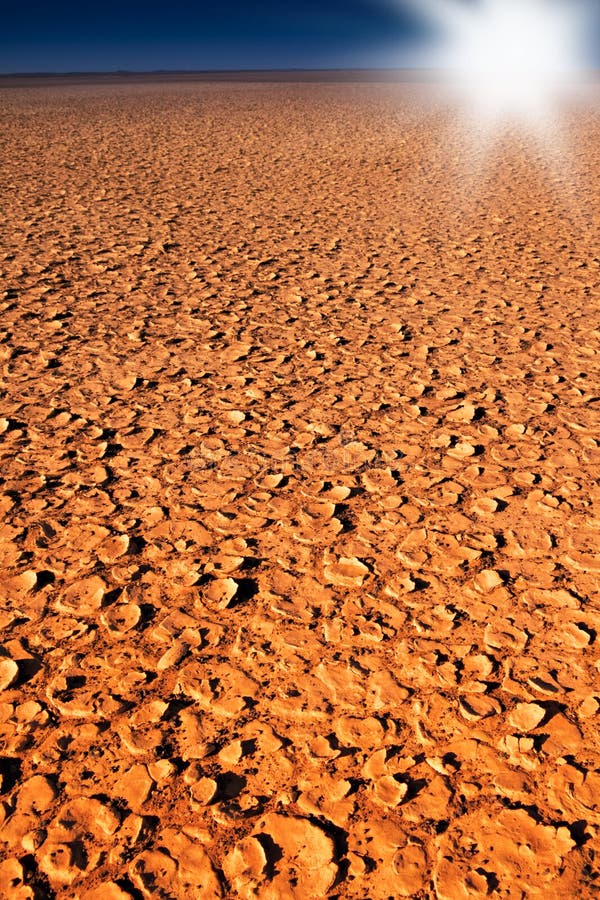 Dry Cracked Dirt Surface Picture. Image: 18145169