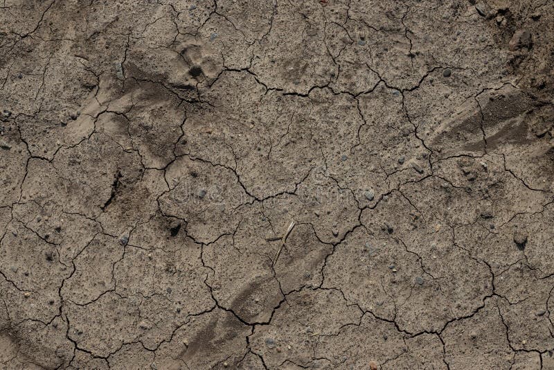 Dry, Cracked Dirt Texture for Creative Background Stock Image - Image ...