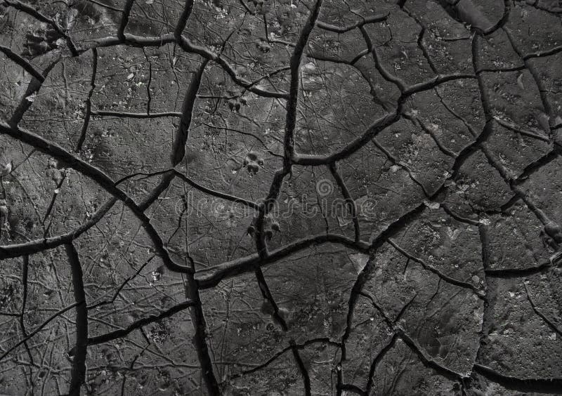 Dry Cracked Earth Background. Black and White Texture Stock Photo ...
