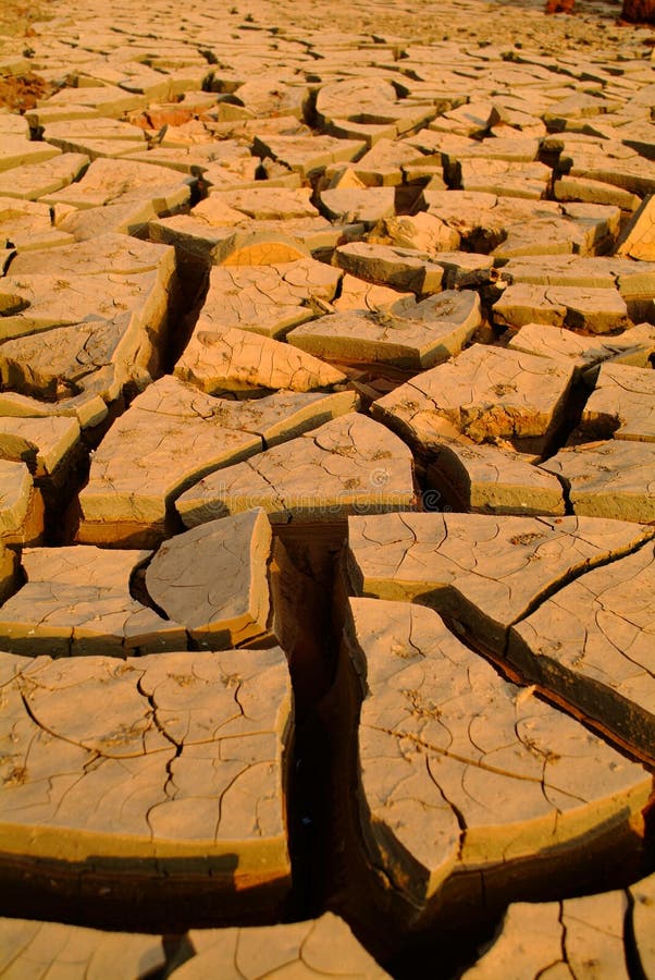 Dry cracked earth - Desert stock image. Image of arid - 54635889