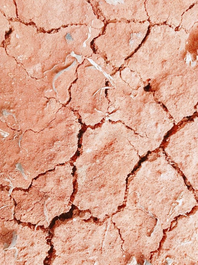 Dry Cracked Earth in Summerdry Red Soil Cracks in Summer Stock Image ...
