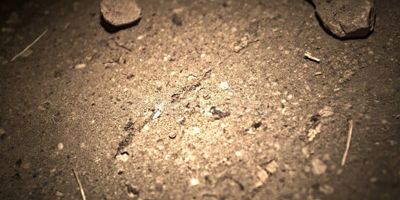 Dry Cracked Earth Texture Background Grunge Soil Desert Ground Stock ...