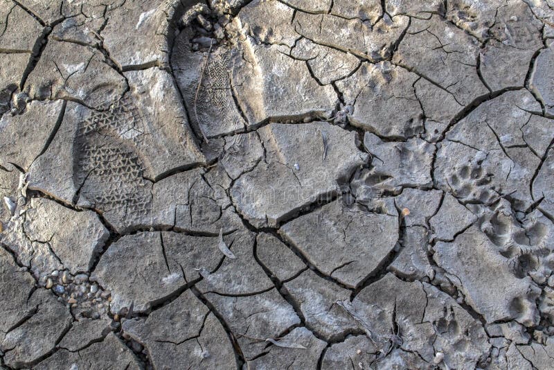 Arid Earth Texture on the River Bank Stock Image - Image of drought ...