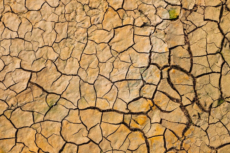 Cracked Soil Texture Forming Abstract Pattern during Severe Drought ...