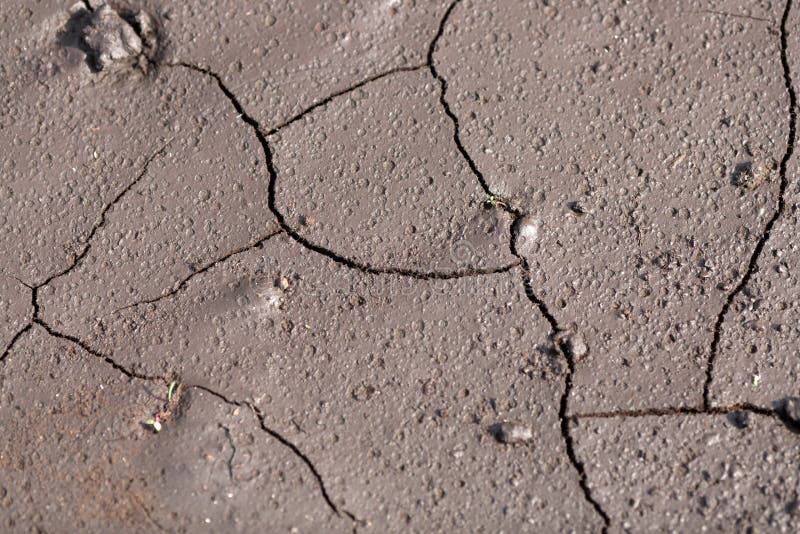 Dry cracked ground stock photo. Image of drought, crack - 187497718