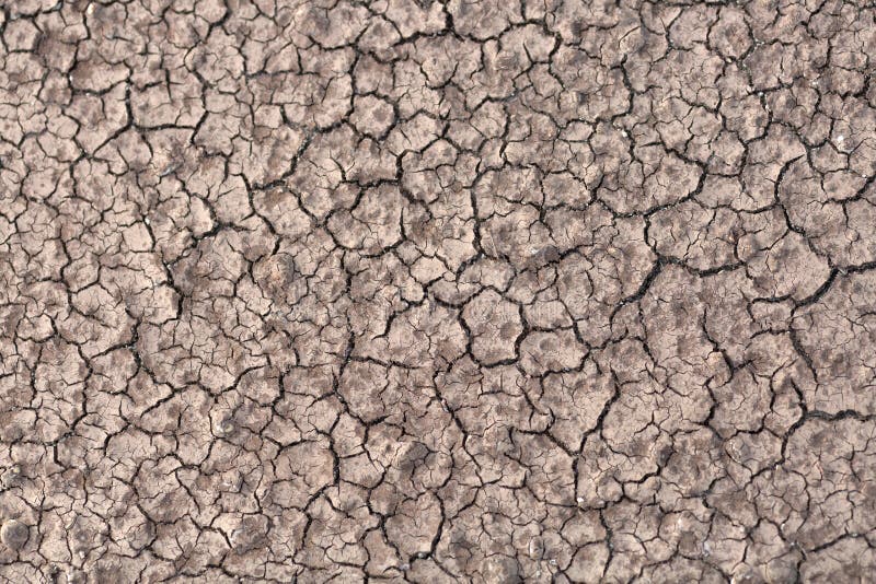 Dry cracked ground stock photo. Image of dryness, crack - 187497756