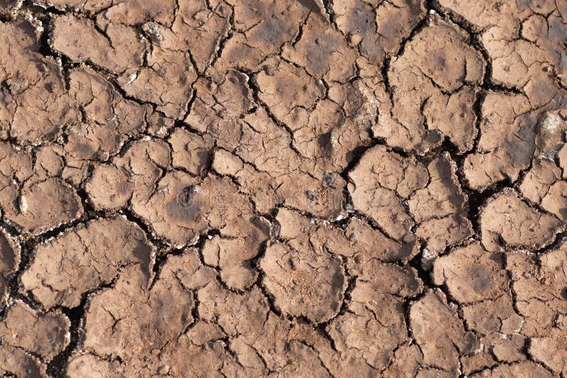 Dry cracked ground stock photo. Image of copy, drought - 187497696