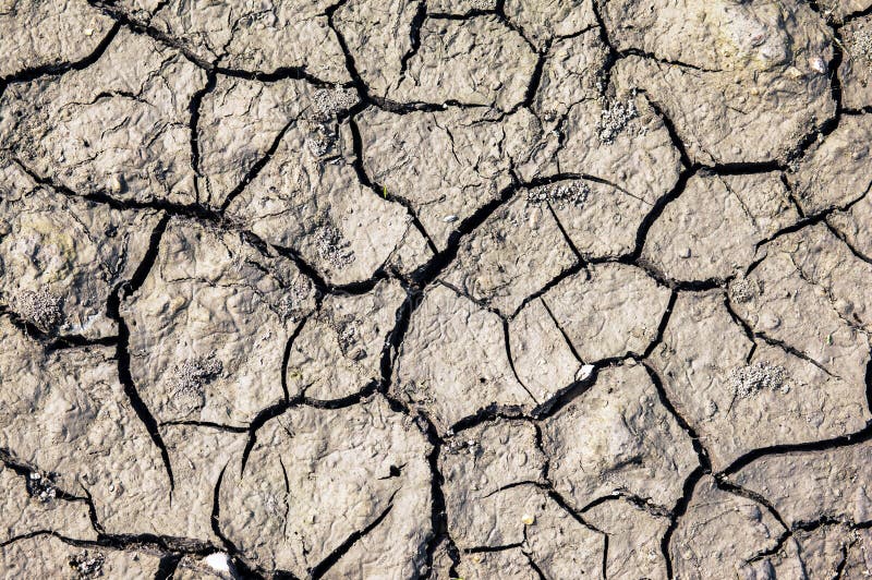 Dry cracked ground stock photo. Image of nature, brown - 100593262