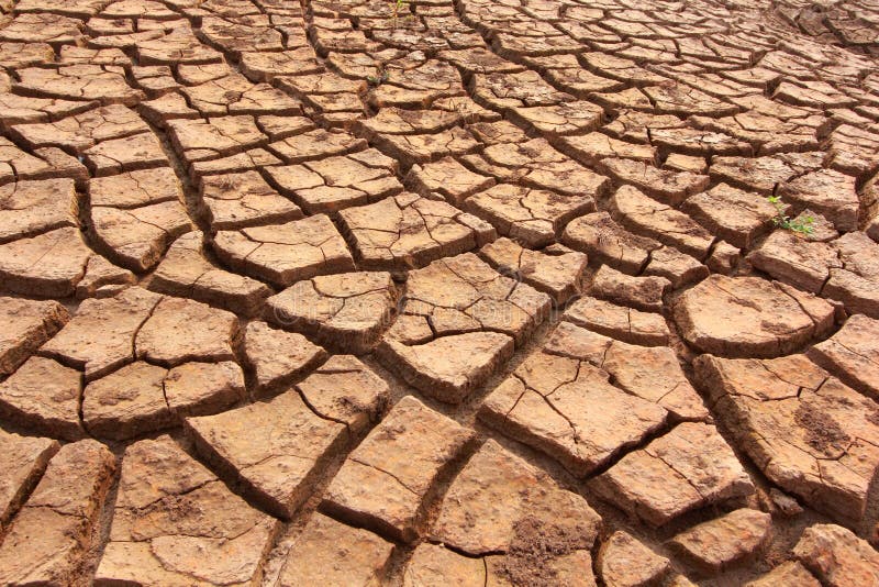 Dry cracked ground stock photo. Image of pattern, soil - 30981956