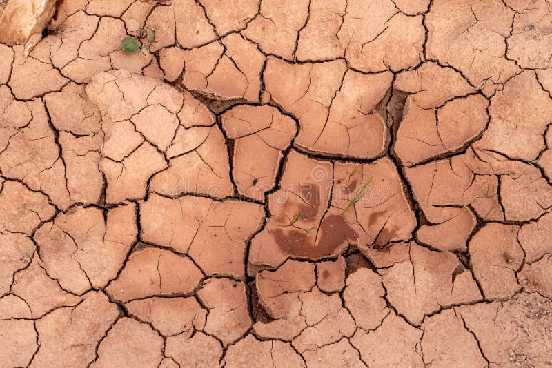 Dry, Cracked Ground into the Dry Season. Global Warming and Climate ...