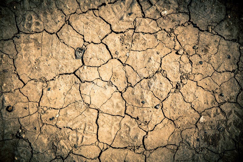 Dry cracked ground texture stock image. Image of cracks - 117076805
