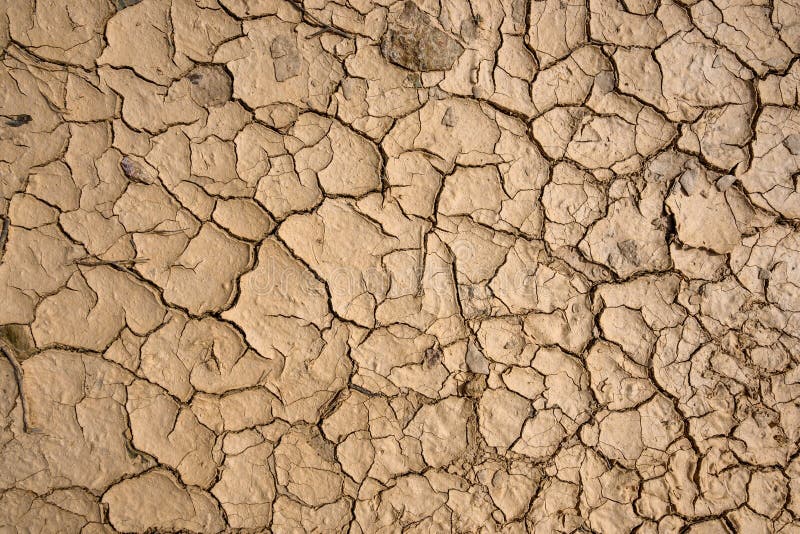 Dry and cracked ground. stock photo. Image of climate - 215716044