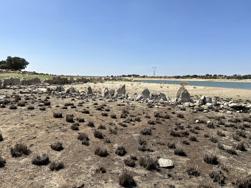 Dry, Cracked Lakeshore with Scattered Rocks and Sparse Vegetation Stock ...