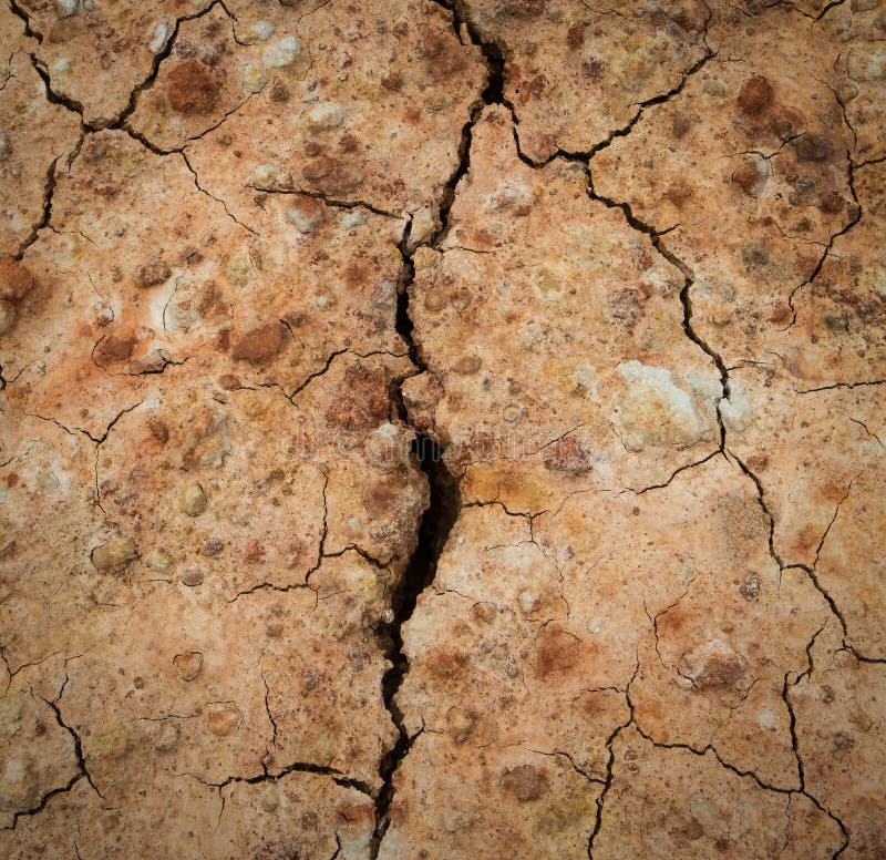 Dry and cracked land stock photo. Image of environmental - 29084918