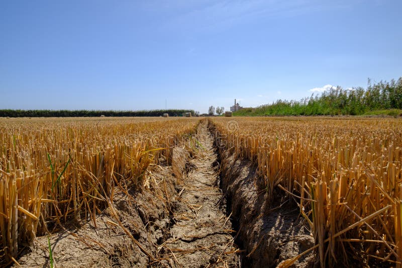 Dry and Cracked Land Drought Climate Problem, Affects Agriculture ...
