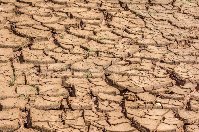 Cracked Dry Land at Dam in Brazil Stock Photo - Image of climate, dead ...
