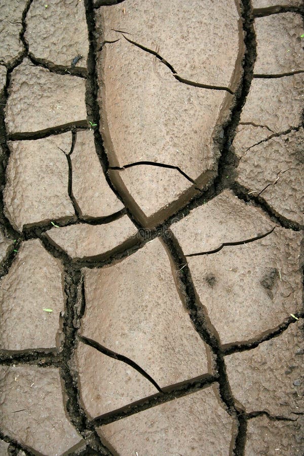 Dry cracked mud texture stock image. Image of cracks - 12565223