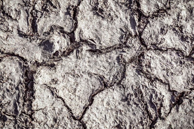 Texture of Dry Cracked Soil Stock Image - Image of dust, soil: 268942753
