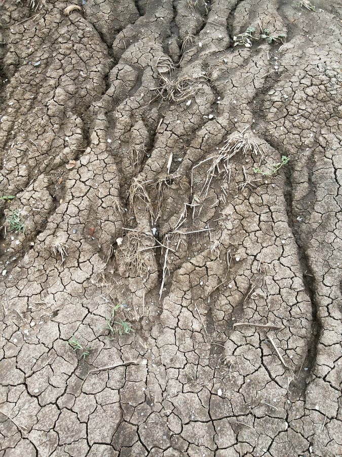 Dry cracked soil stock photo. Image of desolate, cracked - 64922468