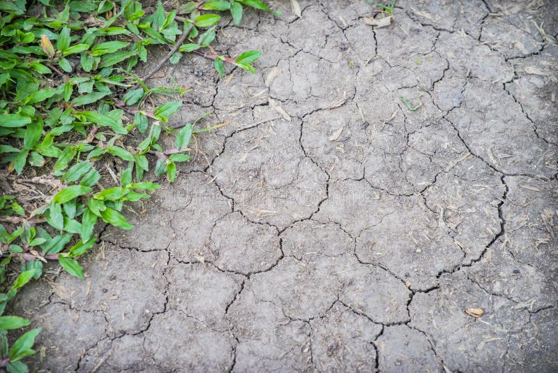 Dry cracked soil stock photo. Image of stone, soil, backdrop - 66493858