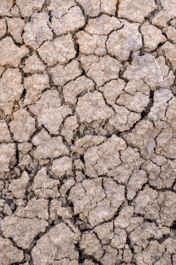 Dry cracked soil texture stock image. Image of dried - 63991881
