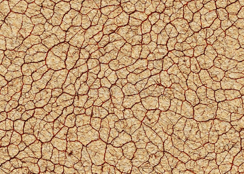 Dry Cracked Wilderness Ground Texture Stock Image - Image of drought ...
