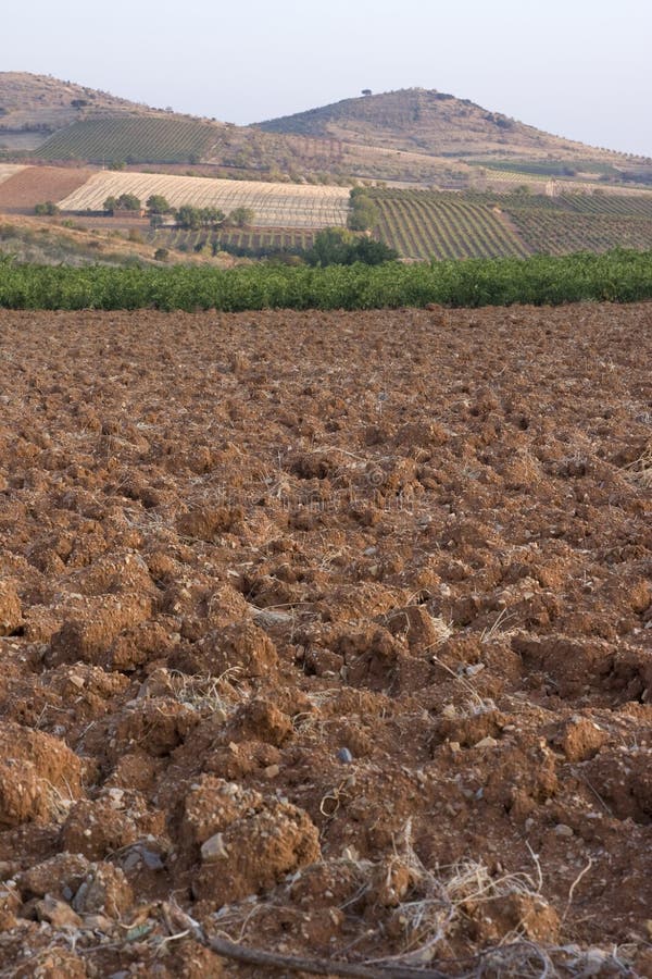 Dry crop field stock photo. Image of rural, agriculture - 11111538