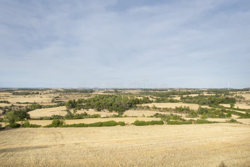 Dry cultivated fields. stock image. Image of plains - 184774615