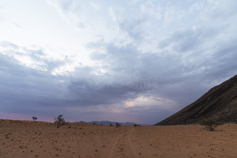 Dry Dead Grass and Sand in Namib Desert Stock Image - Image of ...