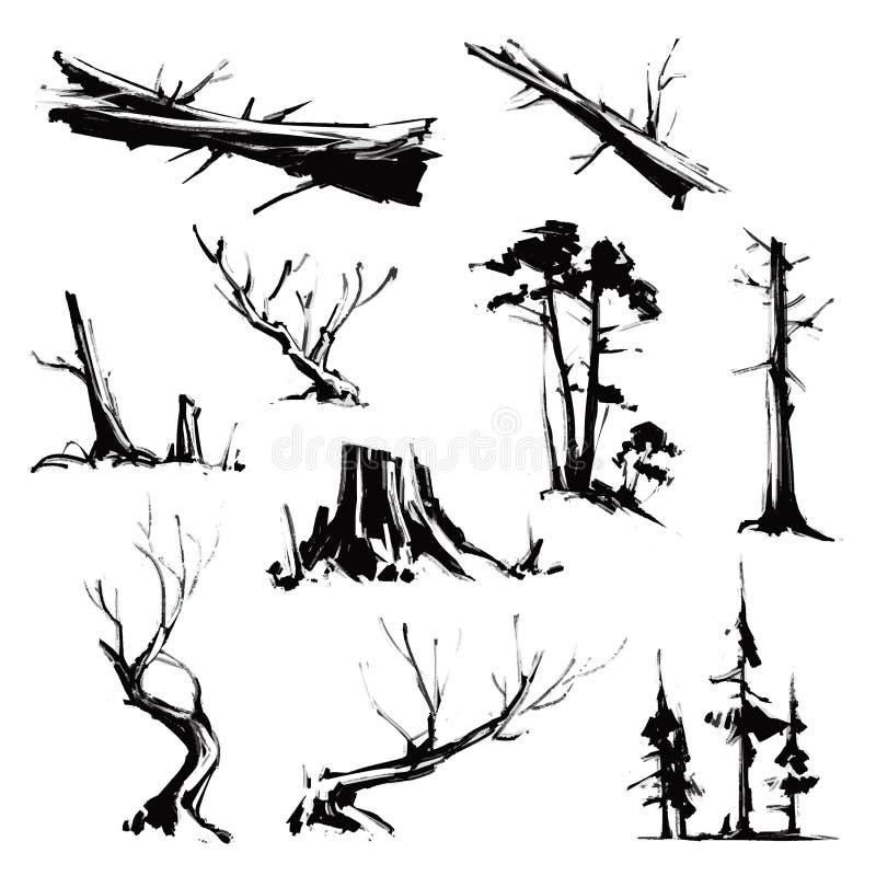 Dry and Dead Trees Sketches Stock Vector - Illustration of tree, white ...