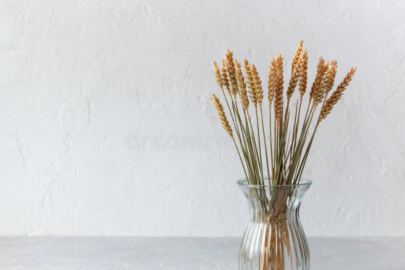 Dry Decorative Wheat Plants in a Glass Vase Stock Image - Image of grey ...