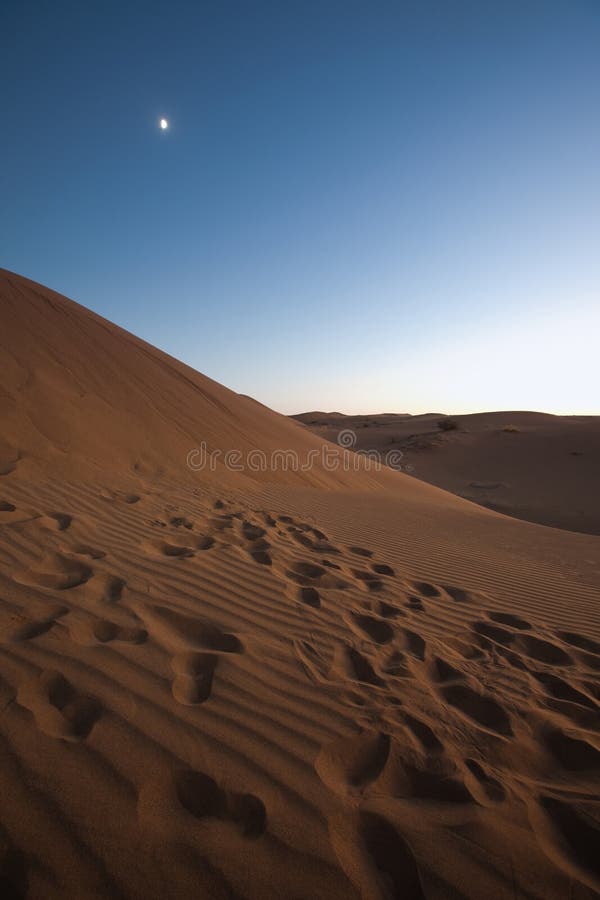 Dry desert stock image. Image of yellow, sand, warm, scenic - 17161555