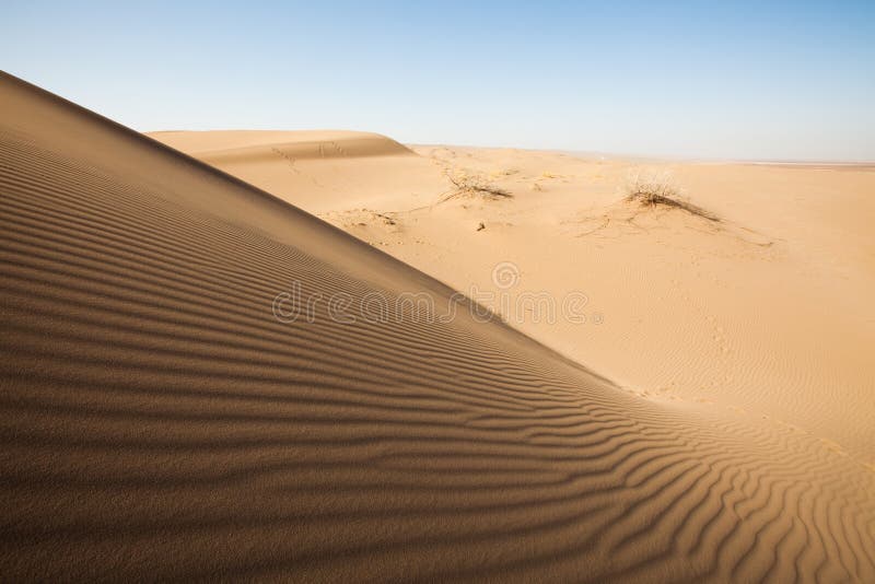 Dry desert stock photo. Image of sunny, nature, outdoor - 17161926