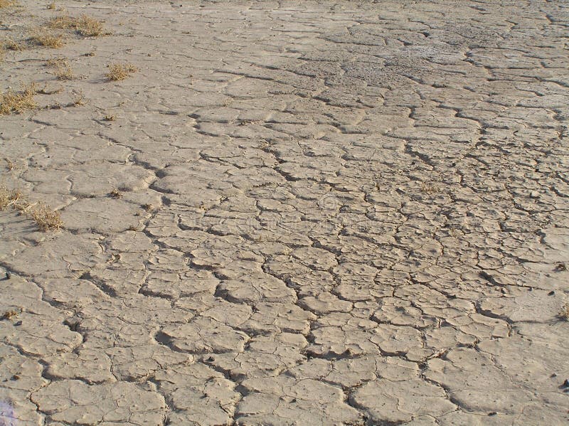 Dry wilderness stock image. Image of drought, field, dangerous - 54495409
