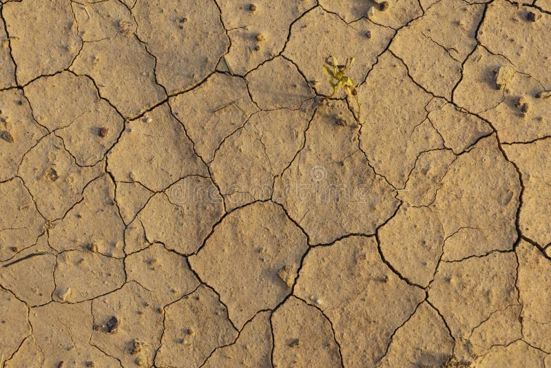 Dry and Desert Land, Cracked and Textured Effect of Drought and Climate ...