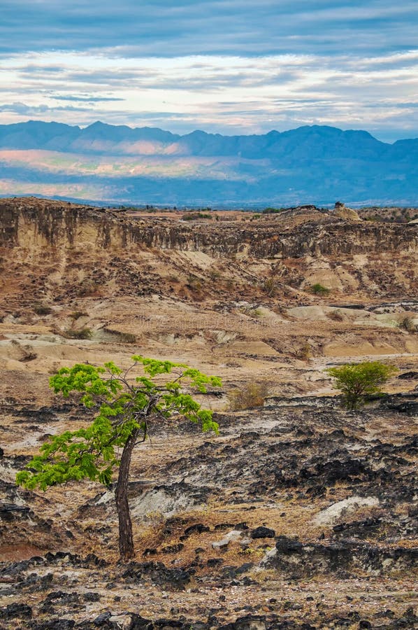 Dry Desert and Mountains stock photo. Image of alone - 29451362
