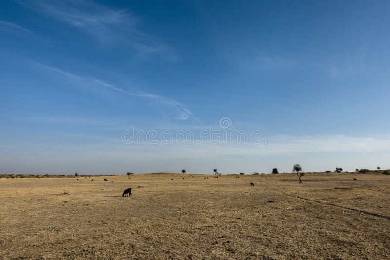 Dry Desert in Rajasthan, India Stock Image - Image of south, thar ...