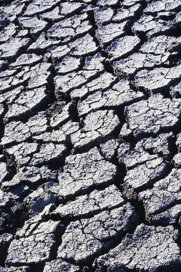 Dry Dirt stock photo. Image of desert, environment, pattern - 1129924