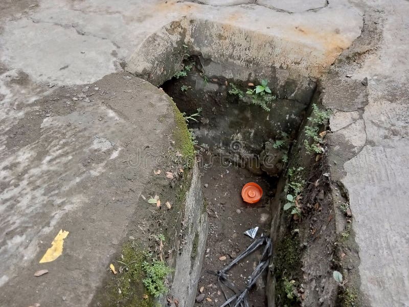 Dry Ditches Overgrown with Moss and Small Plants Stock Photo - Image of ...