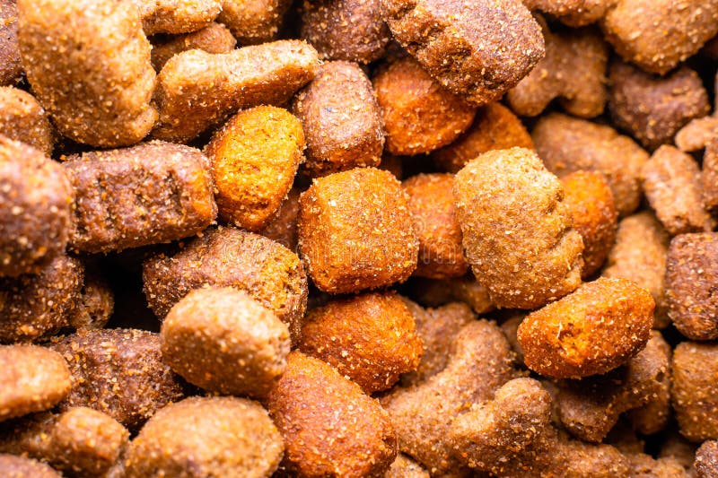 Dry Dog Food in Different Shapes Close-up Stock Photo - Image of fats ...