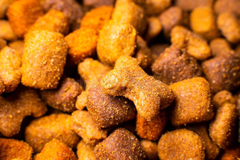 Dry Dog Food in Different Shapes Close-up Stock Image - Image of ...
