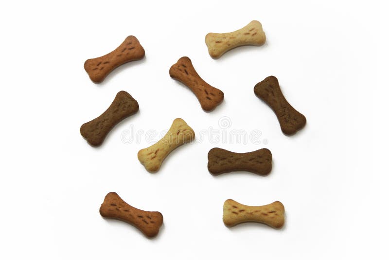 Dry Dog Food in the Form of Bones Stock Photo - Image of meal ...