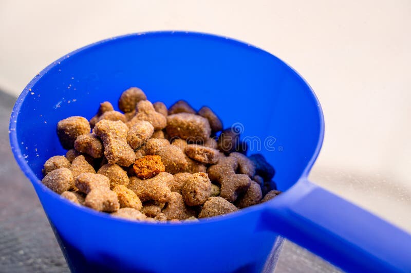 Dry Dog Food in the Form of Bones Close-up in a Blue Container Stock ...