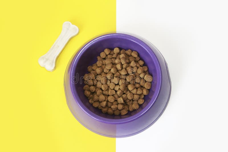 Dry Dog Food in a Plate and White Bone Stock Photo - Image of macro ...