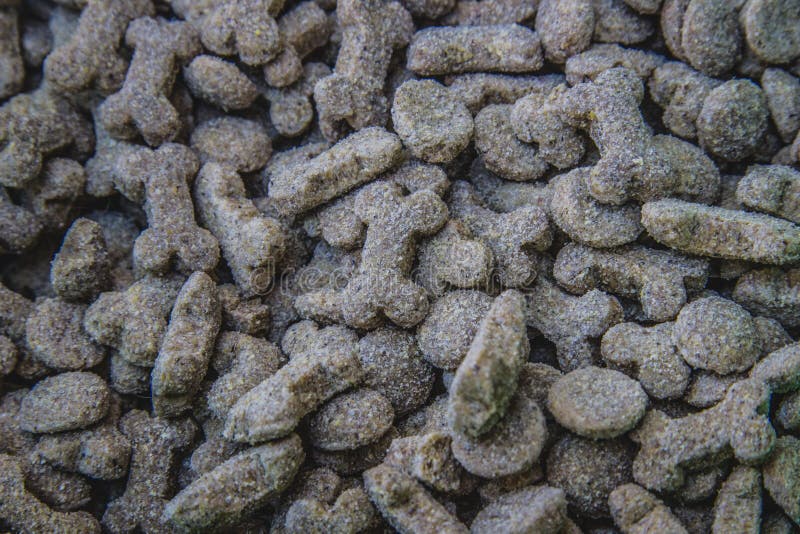 Dry dog food in shapes stock photo. Image of meal, shapes - 183599724